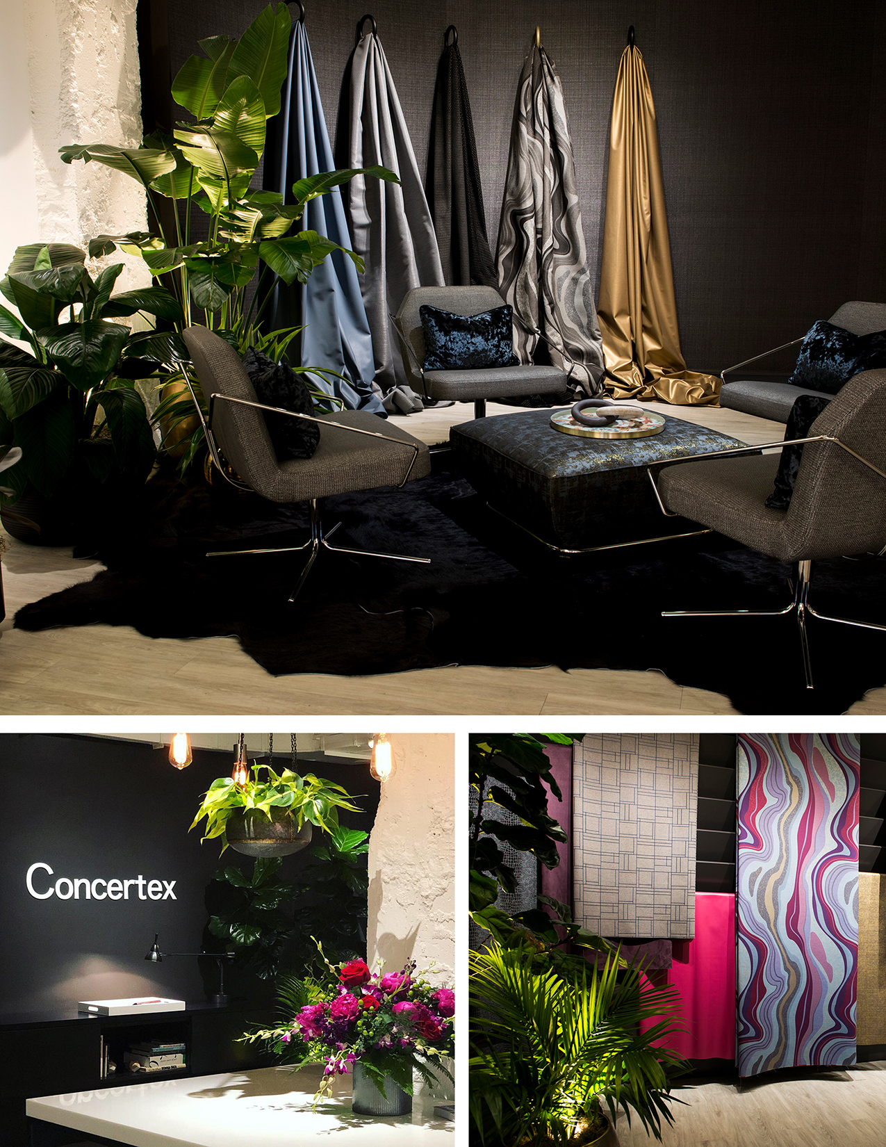 Concertex Rebranding Comes to Fruition with Showroom Transformation ...