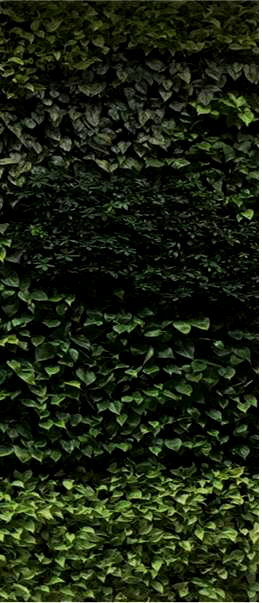 GSky® Expands Sales Team to Embrace Growing Living Wall Demand ...