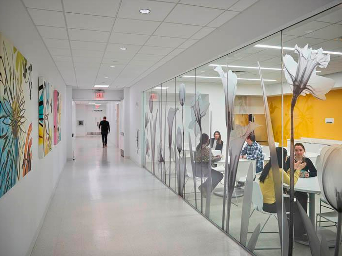 Stantec Named Best of Competition Winner of the 2019 IIDA Healthcare ...