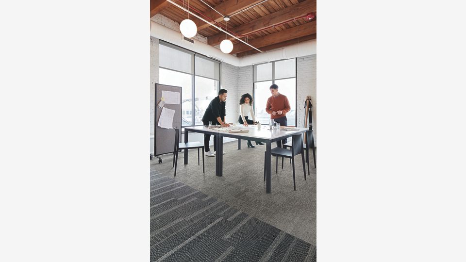 Interface Launches Embodied Beauty, Unveils First Carbon Negative ...