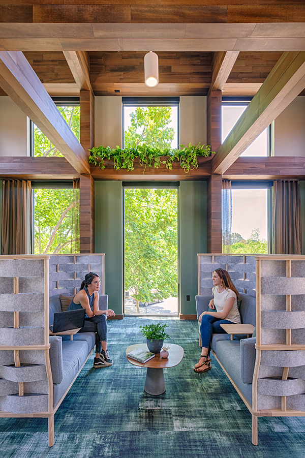 How Ecological Office Design Builds a Bridge Between Our Indoor and ...
