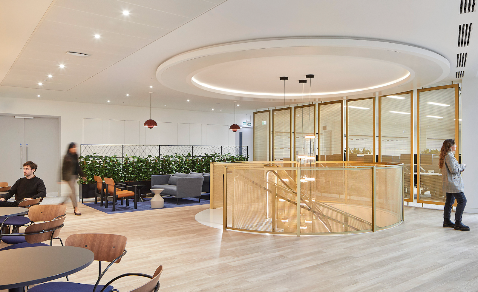 Seamless Separation: Wire Mesh Dividers Ideal for Contemporary Office ...