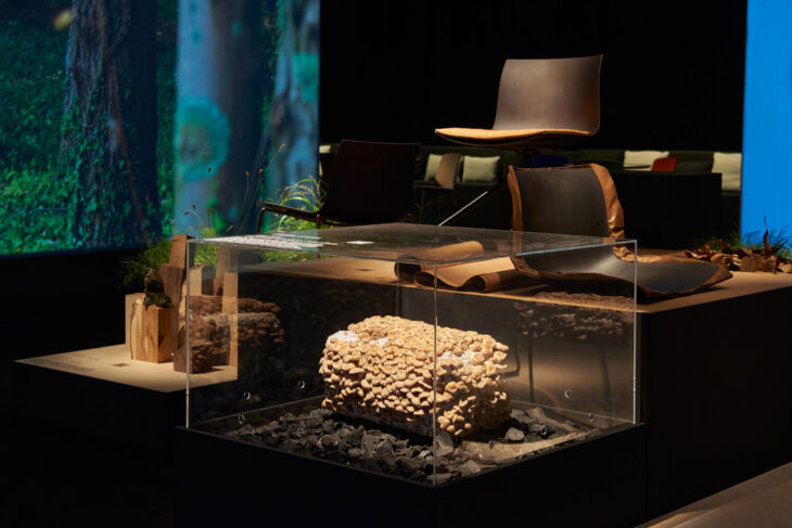 Introducing Catifa Carta: The Sustainable Chair Of Tomorrow, by Arper ...