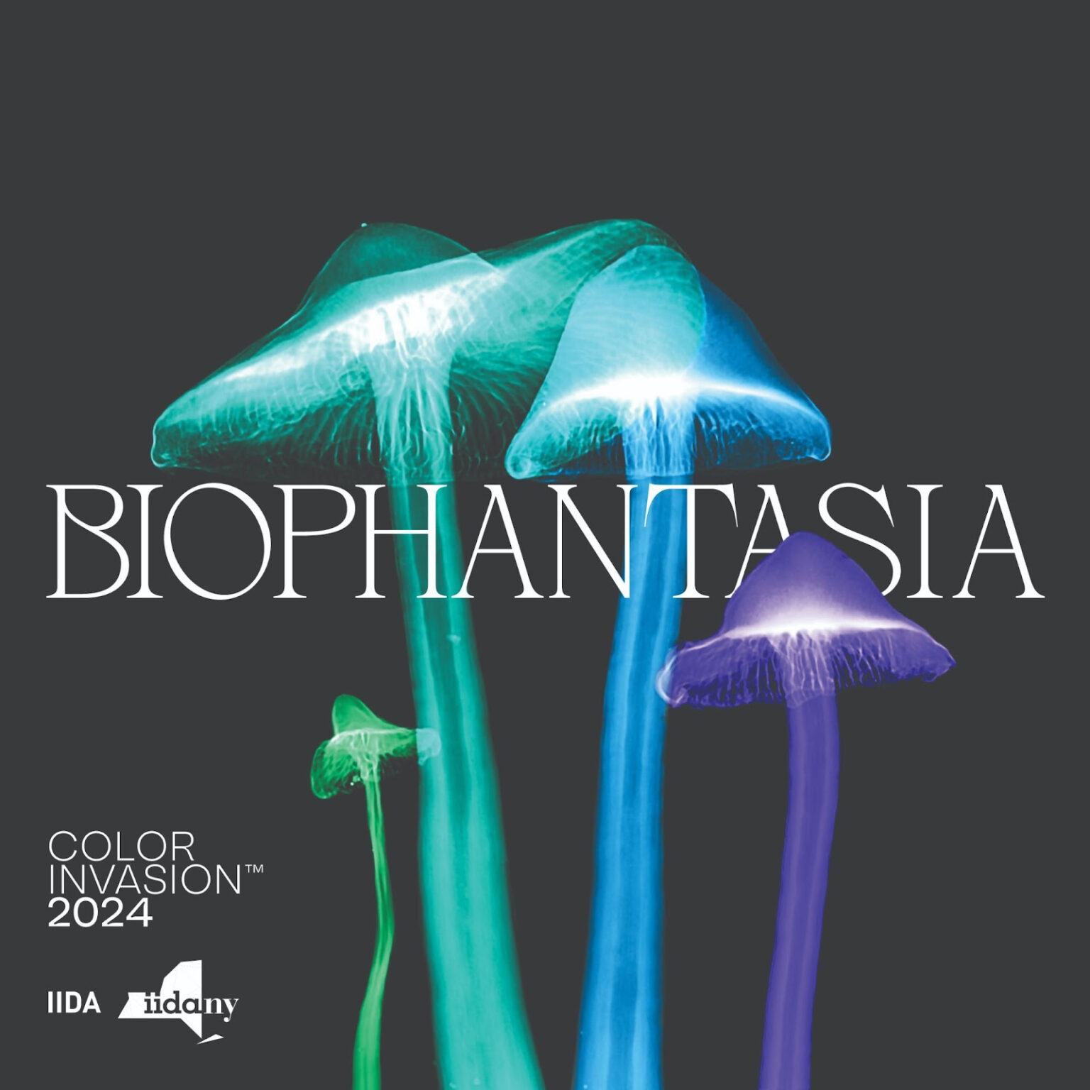 IIDA NY Unveils Biophilic Theme for 22nd Annual Color Invasion ...