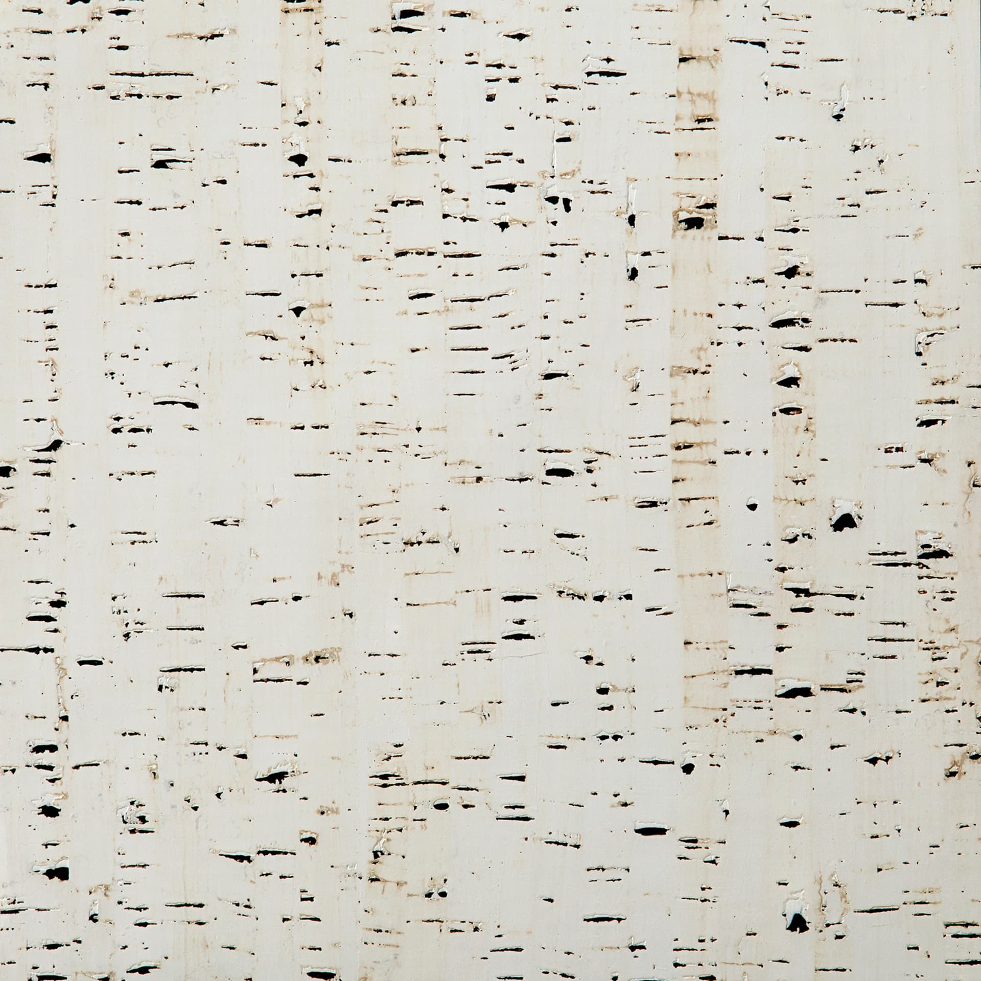 Wolf-Gordon Joins Rockwell Group’s Casa Cork Installation - officeinsight